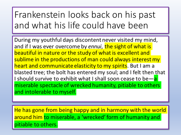 Frankenstein Chapters 19 and 20 – EnglishGCSE.co.uk